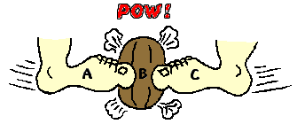 Identifying Interaction Force Pairs