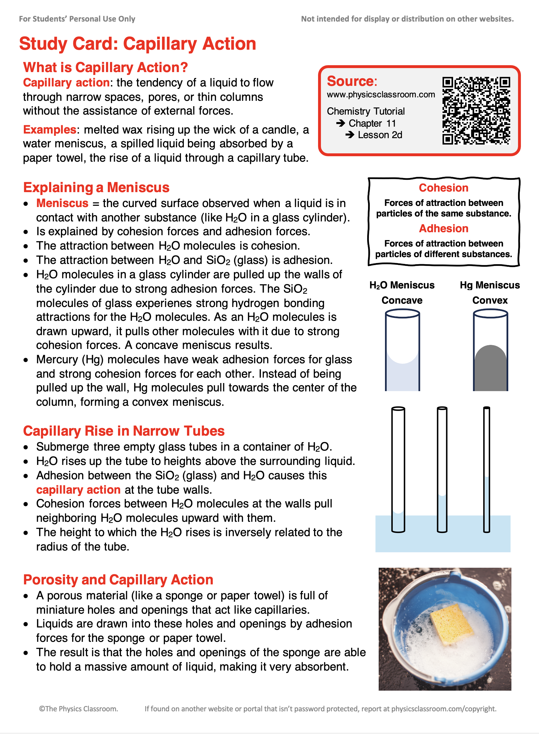 Capillary Action: Why Liquids Climb Walls and Rise in Tubes