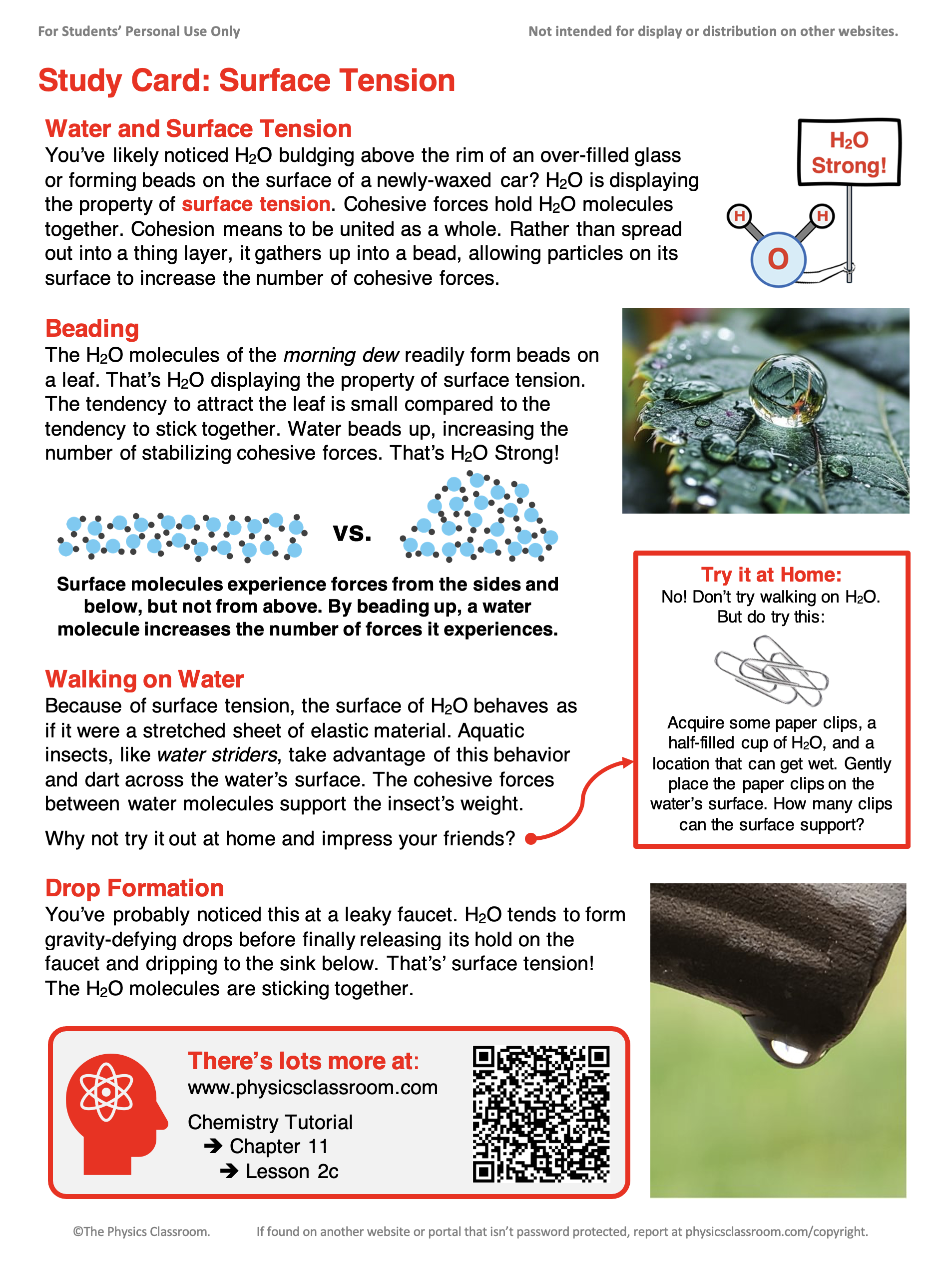 Surface Tension: How Cohesion, Droplets & Water Striders Reveal ...