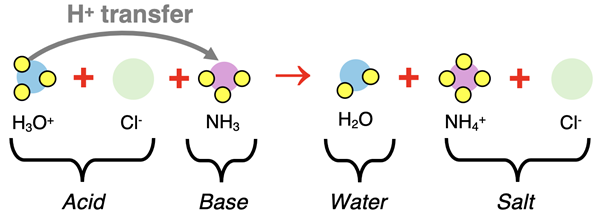 Neutralization of a Strong Acid and Weak Base: pH at Equivalence Point