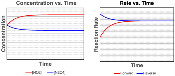 The Equilibrium State | Chemical Equilibrium & Dynamic Balance