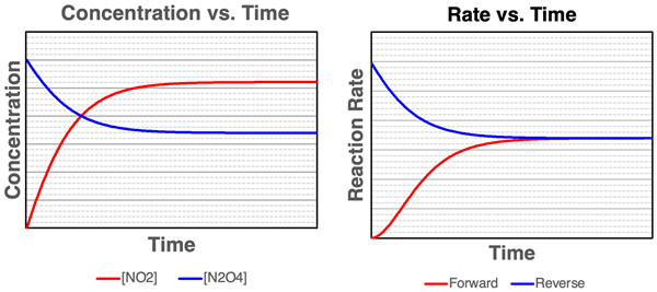 The Equilibrium State | Chemical Equilibrium & Dynamic Balance