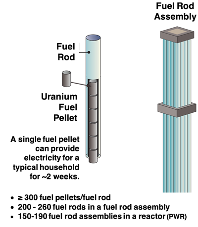 Nuclear Fission and Fusion – How Nuclear Reactions Produce Energy
