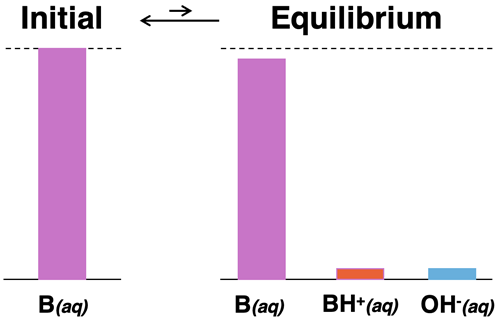 Strong vs. Weak Acids and Bases: Key Differences Explained