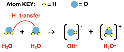 The Self-Ionization of Water and Its Role in Acids and Bases