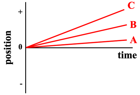Position Time Graphs - Conceptual Analysis Questions