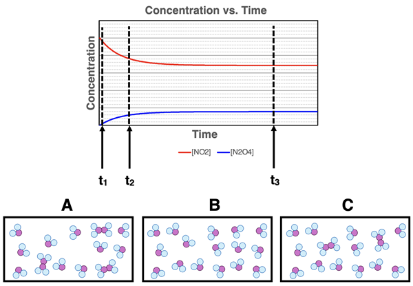 The Equilibrium State | Chemical Equilibrium & Dynamic Balance