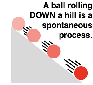 Spontaneous Processes in Chemistry — What Makes a Reaction Go