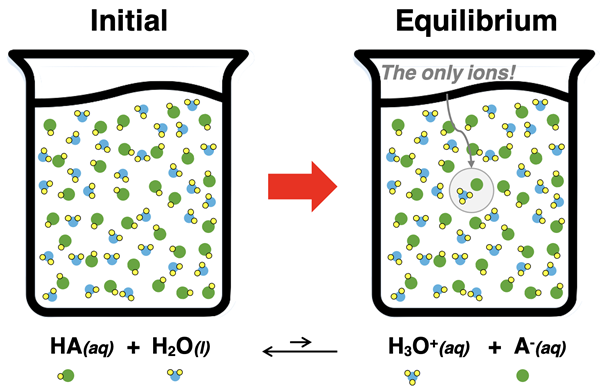 Strong vs. Weak Acids and Bases: Key Differences Explained