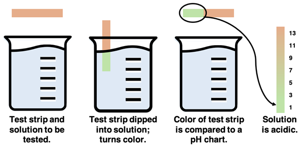 How pH Indicators Work: Using Color to Determine Acidity or Basicity