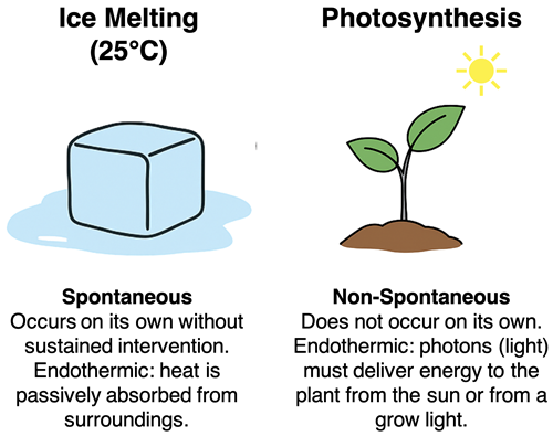 Spontaneous Processes in Chemistry — What Makes a Reaction Go