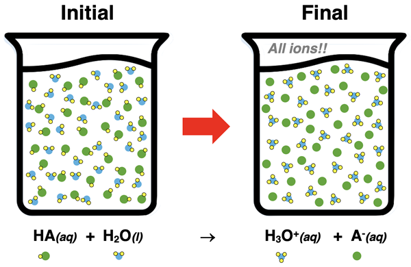 Strong vs. Weak Acids and Bases: Key Differences Explained
