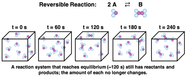 The Equilibrium State | Chemical Equilibrium & Dynamic Balance