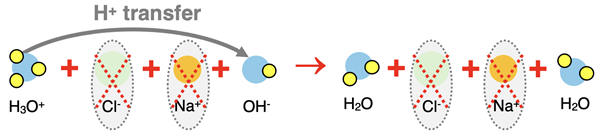 Neutralization Reactions in Chemistry | Molecular & Net Ionic Equations ...
