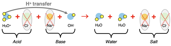 Hydrolysis of Salts: Acidic, Basic, and Neutral Salt Solutions