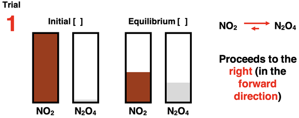 The Equilibrium State | Chemical Equilibrium & Dynamic Balance